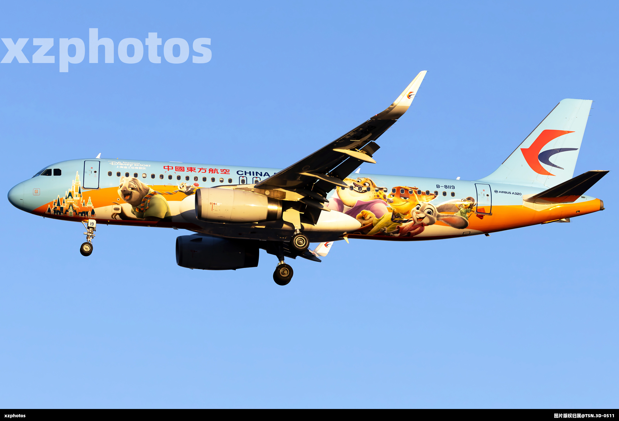 B-8119 - XZPhotos 图库